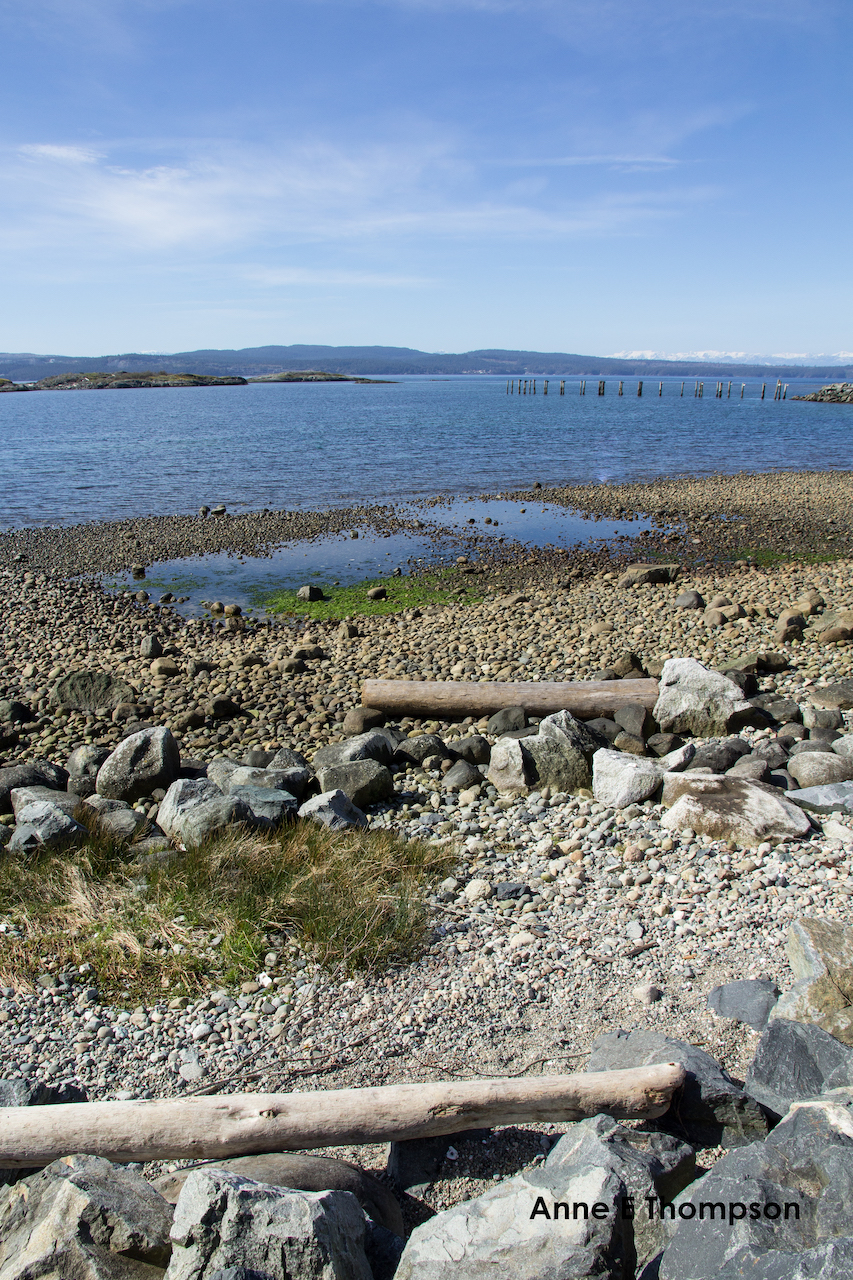 Anne E Thompson – Artique